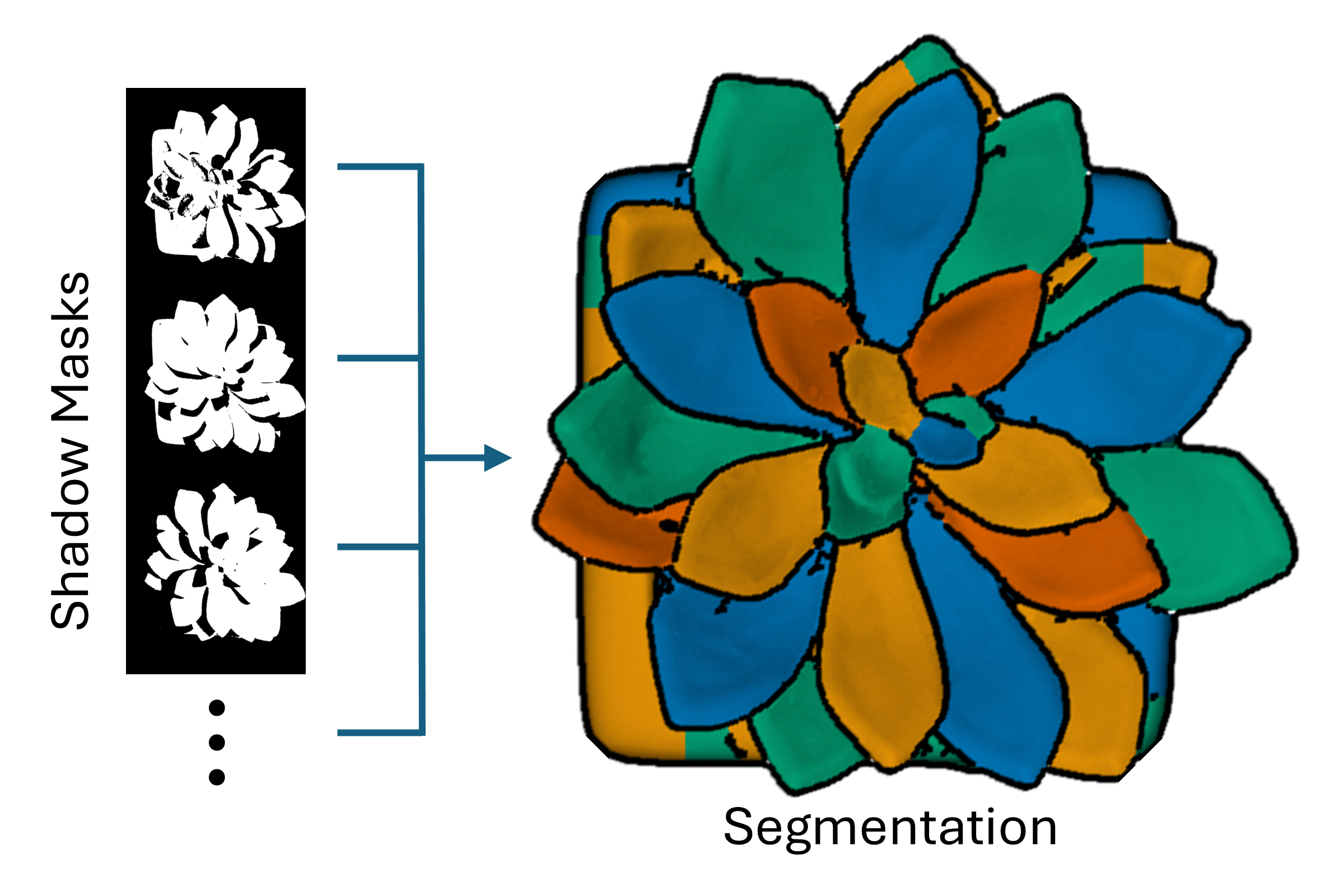 Image Segmentation from Shadow-Hints using Minimum Spanning Trees ...